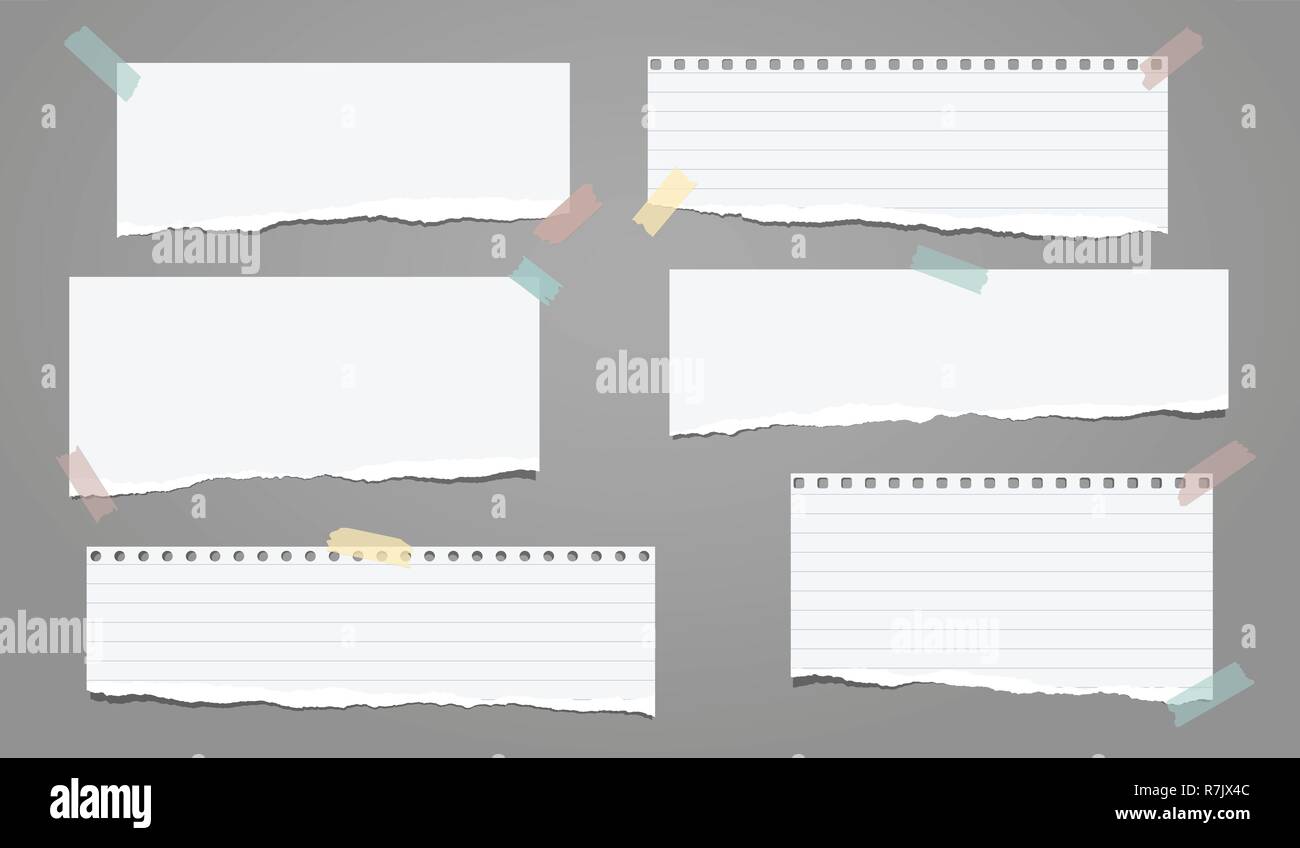 Set of white ripped lined notebook paper, torn note paper strips stuck ...