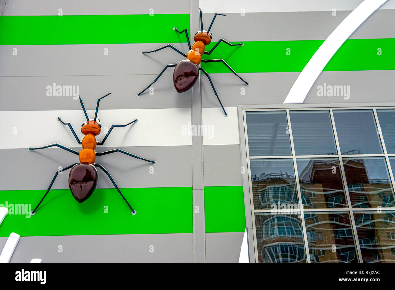 Plastic ants hi-res stock photography and images - Alamy
