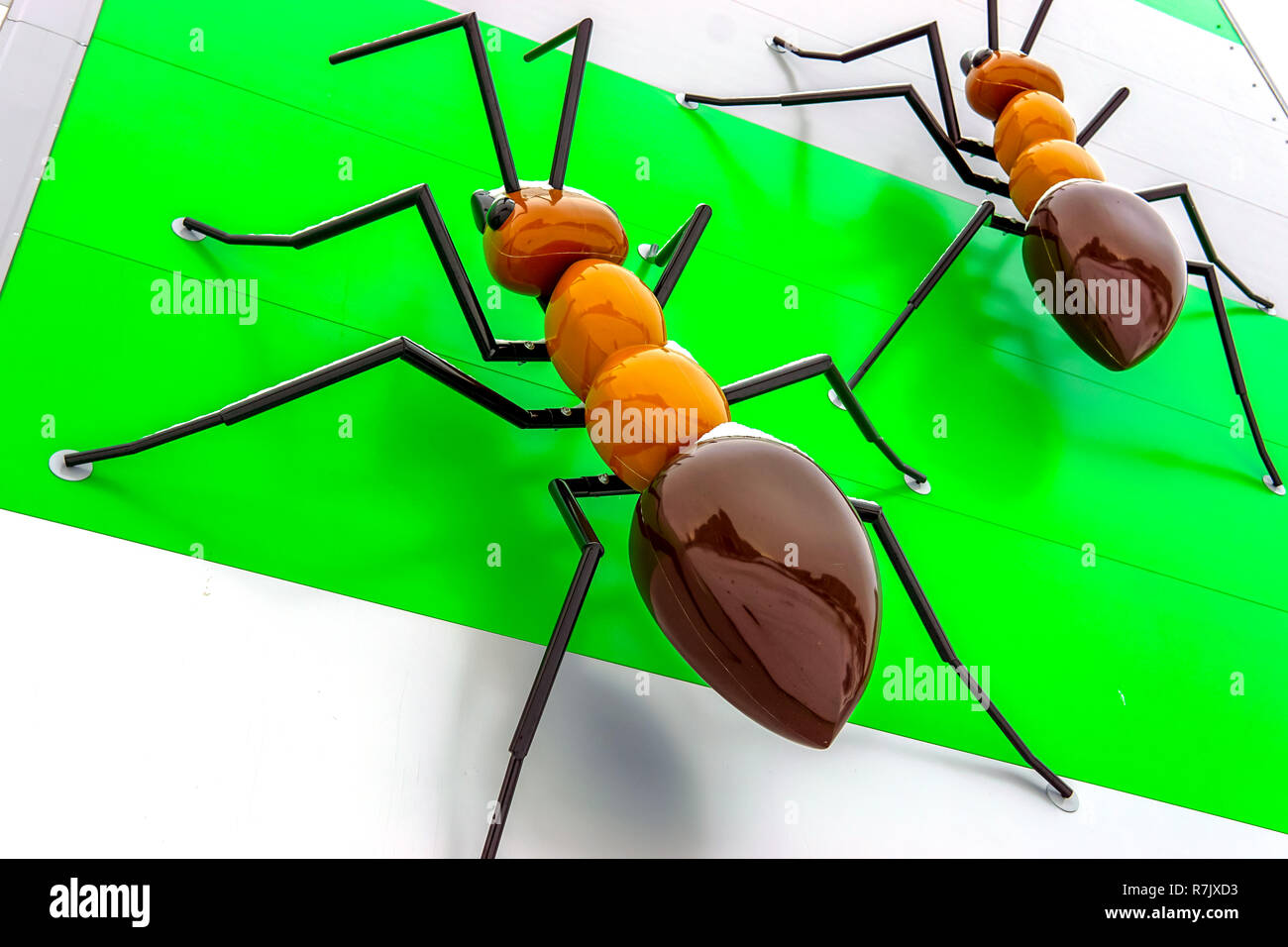 Plastic ants hi-res stock photography and images - Alamy