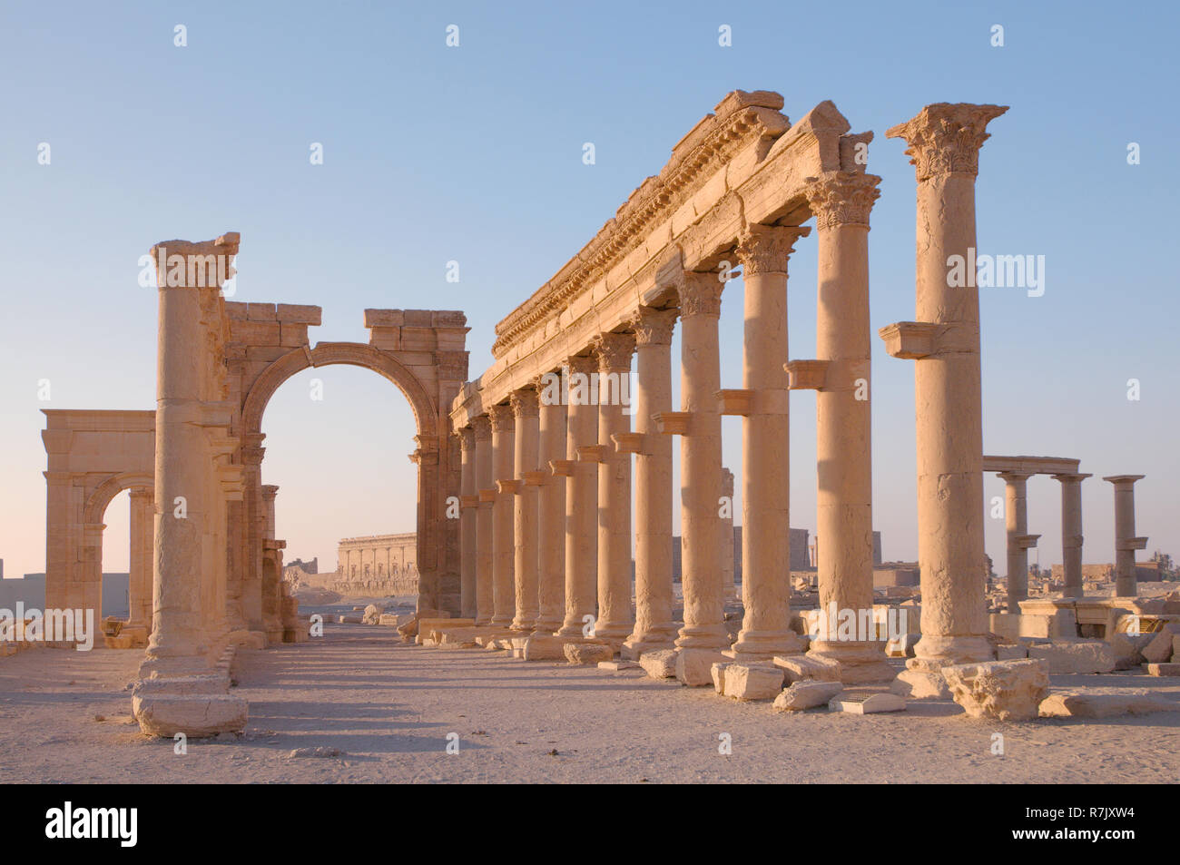 Ruins of the ancient city of Palmyra in the morning light, UNESCO World ...