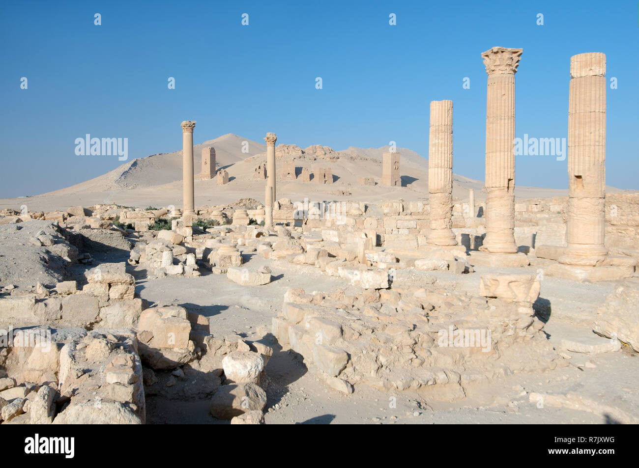 Ruins of the ancient city of Palmyra, Palmyra District, Homs ...