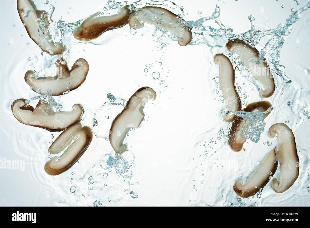 Mushrooms Water Splash on white background Stock Photo - Alamy