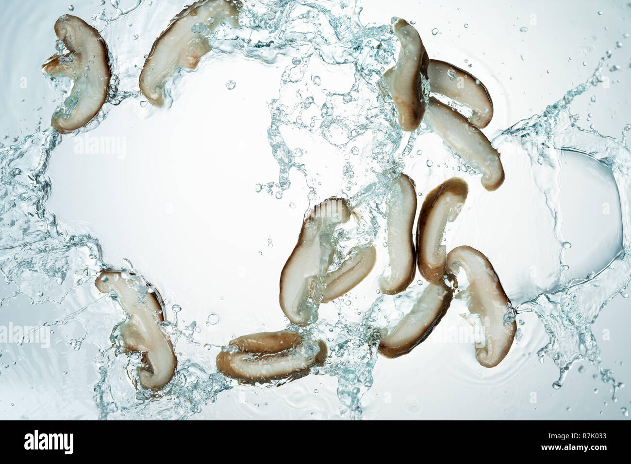 Mushrooms Water Splash on white background Stock Photo - Alamy