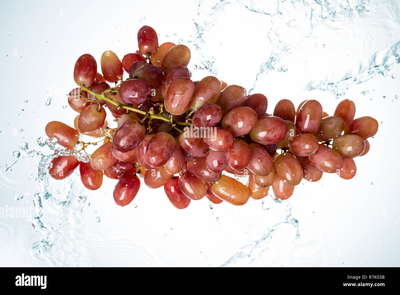 Grapes Water Splash on white background Stock Photo - Alamy