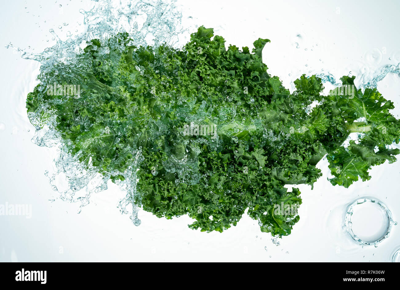 Kale Water Splash on white background Stock Photo - Alamy