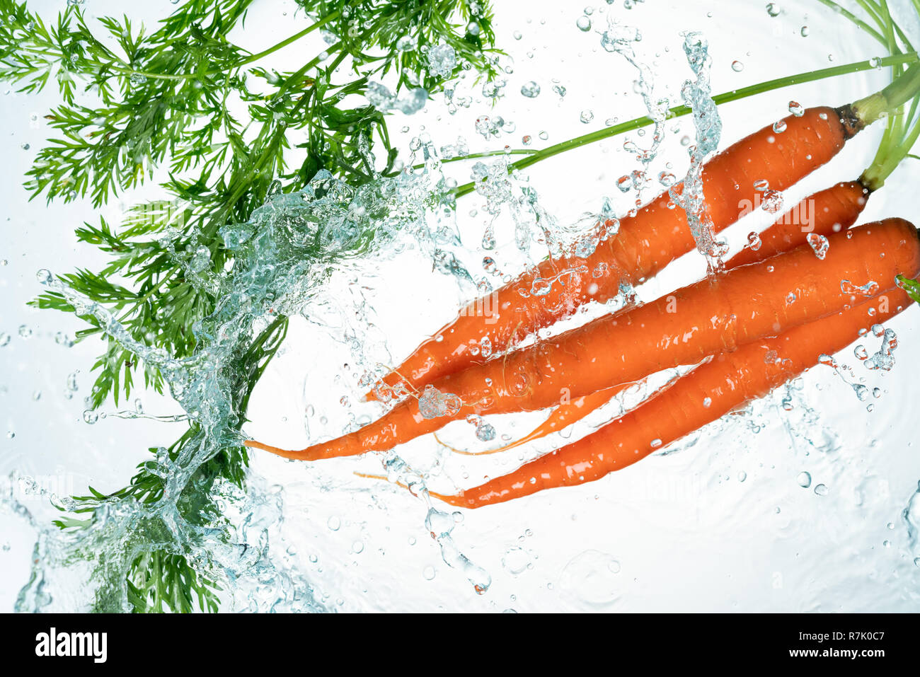 Bunch of orange carrots water splash on white background Stock Photo ...
