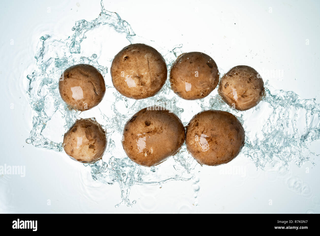 Mushrooms Water Splash on white background Stock Photo - Alamy