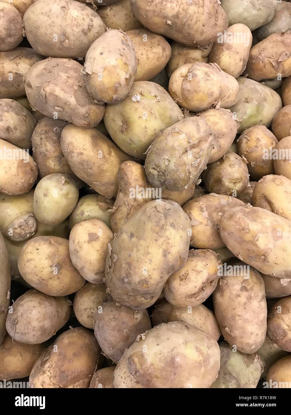 Large potato tubers on counter Stock Photo - Alamy