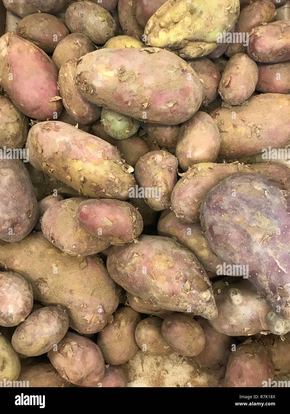 Large potato tubers on counter Stock Photo - Alamy