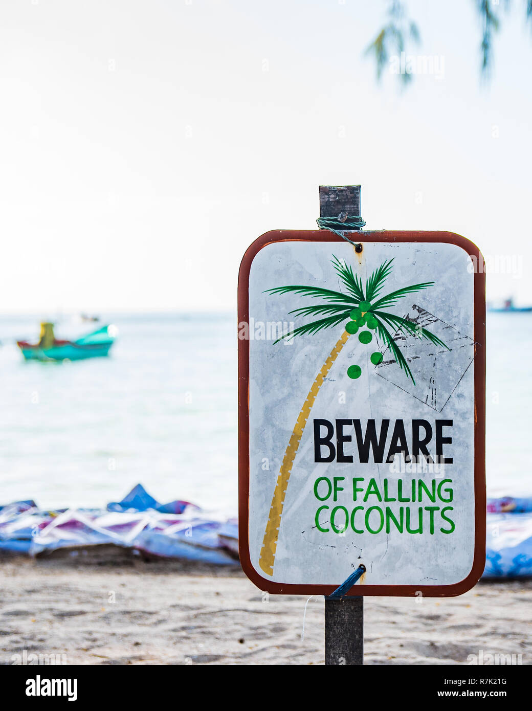 Falling coconuts hi-res stock photography and images - Alamy