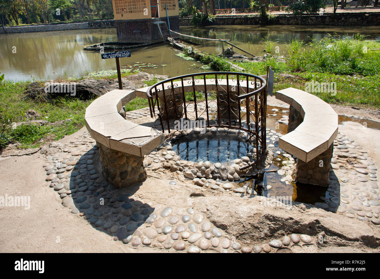 Thai people and travelers foreigner cooking boiling eggs in hot spring of Pa Tueng Hot Spring at ...