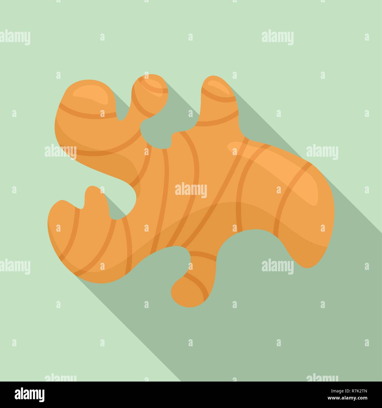Ginger icon. Flat illustration of ginger vector icon for web design ... Ginger icon. Flat illustration of ginger vector icon for web design ...