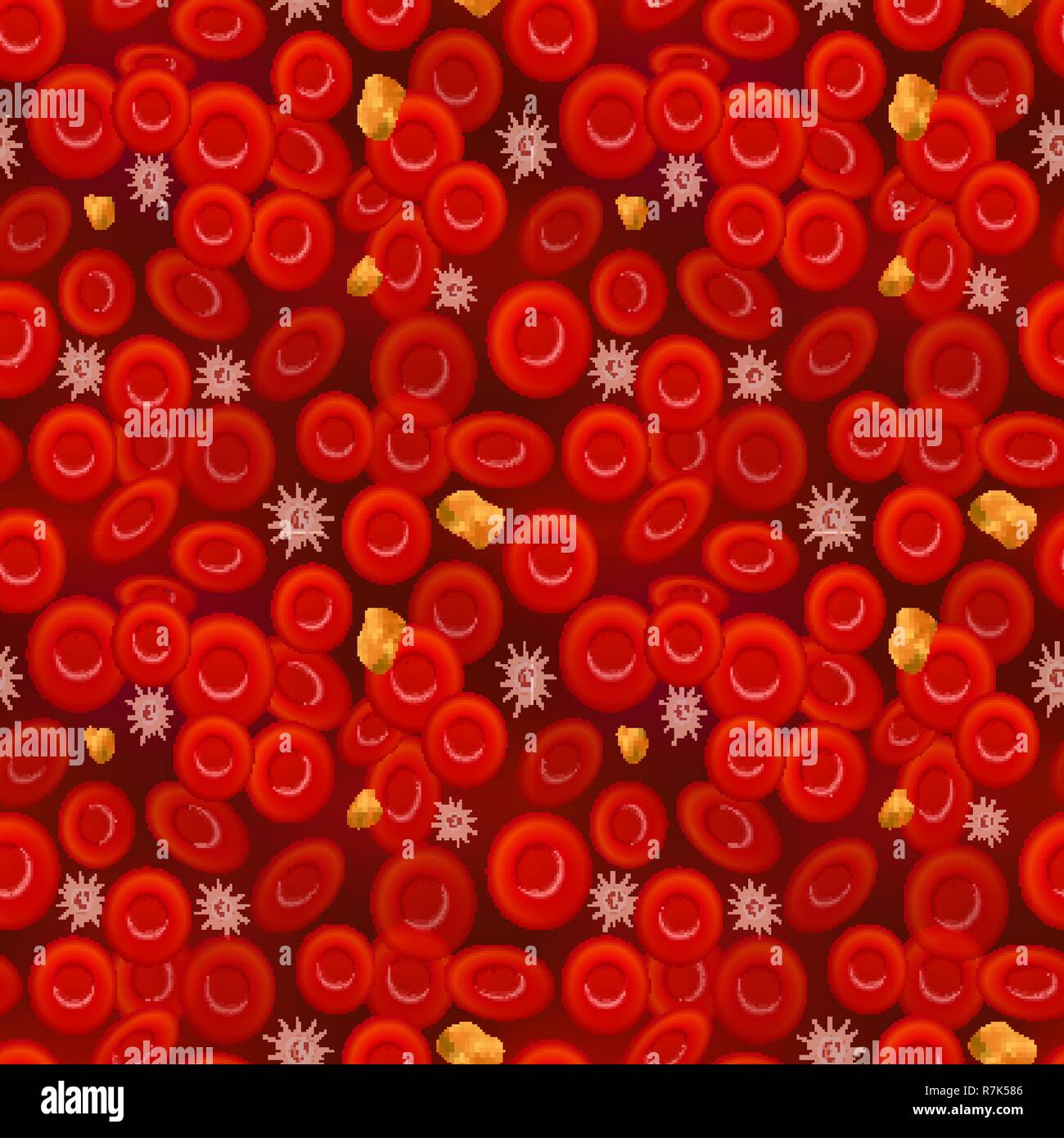 Erythrocytes with white blood cells and cholesterol, blood composition ...