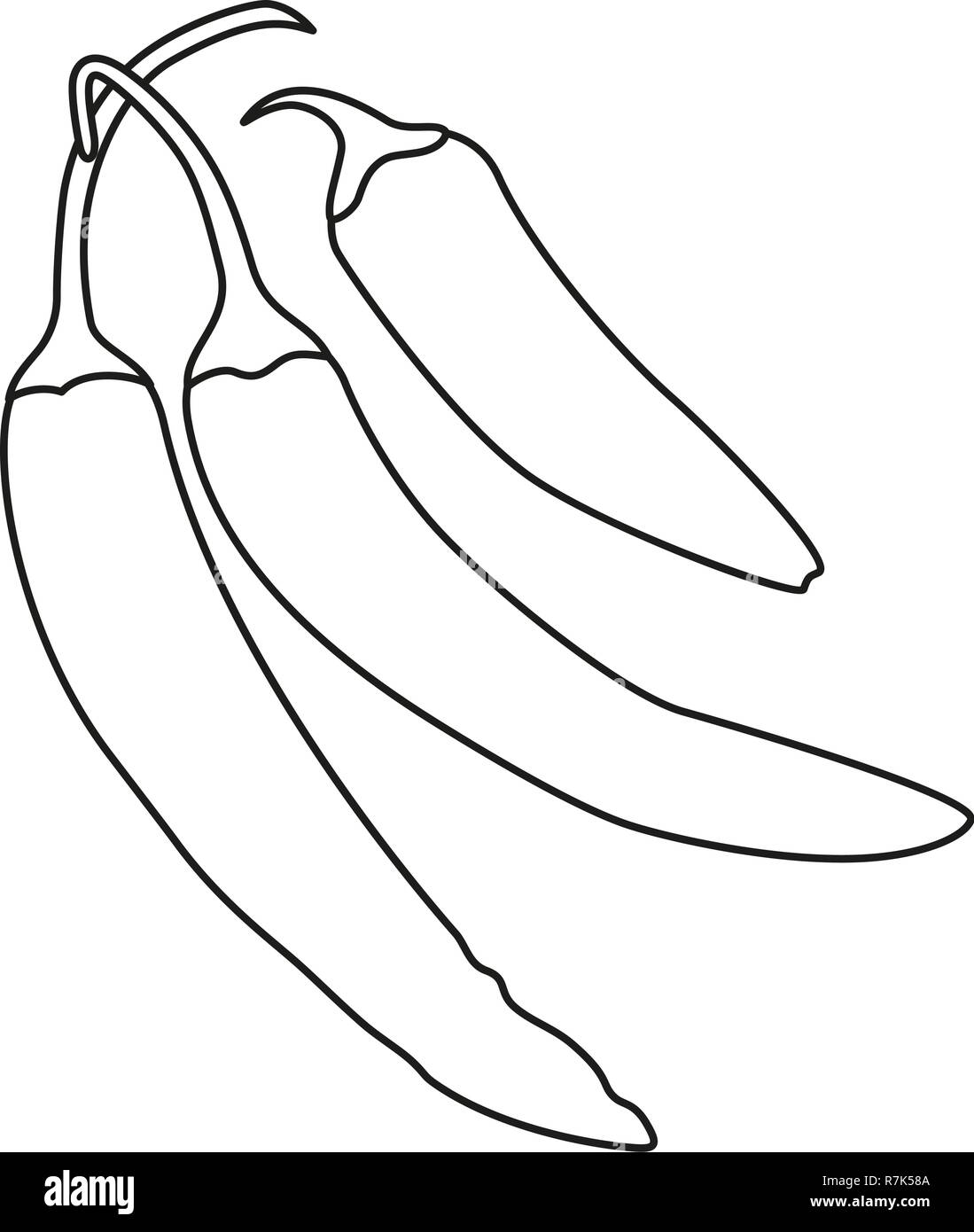 Chilli pepper black background Stock Vector Images - Alamy