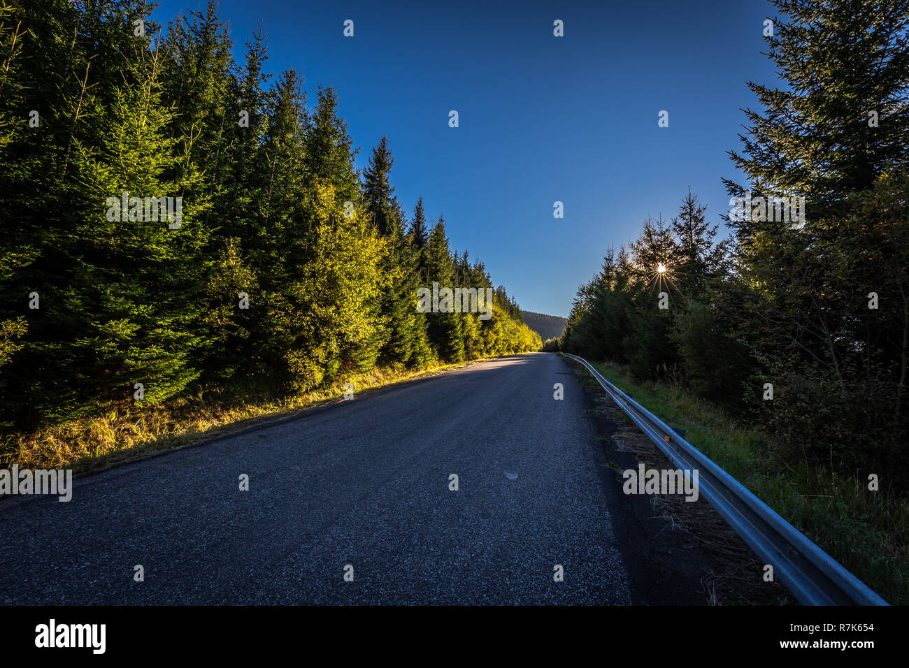 Asphalt road in the green coniferous forest by the sunset from Dolni to ...