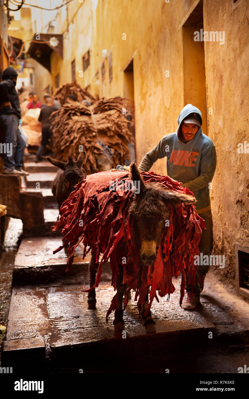 Horse carrying load hi-res stock photography and images - Alamy