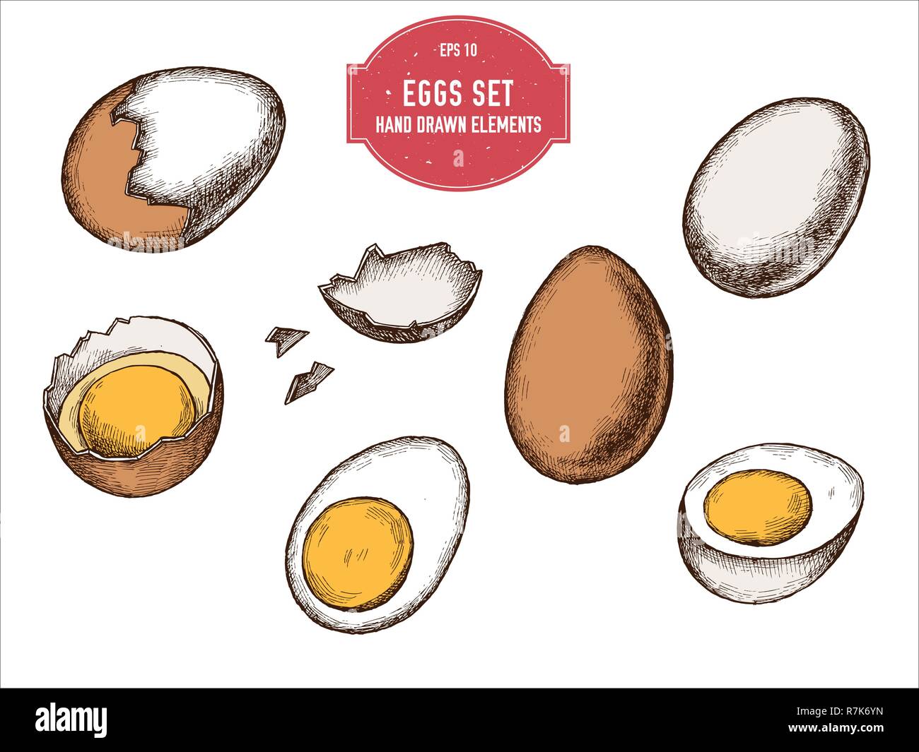 Vector collection of hand drawn colored eggs Stock Vector Image & Art ...