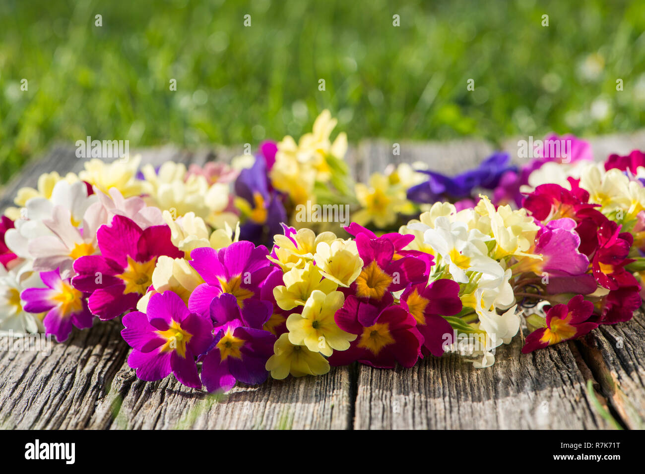 Wreath of primroses on nature background Stock Photo - Alamy
