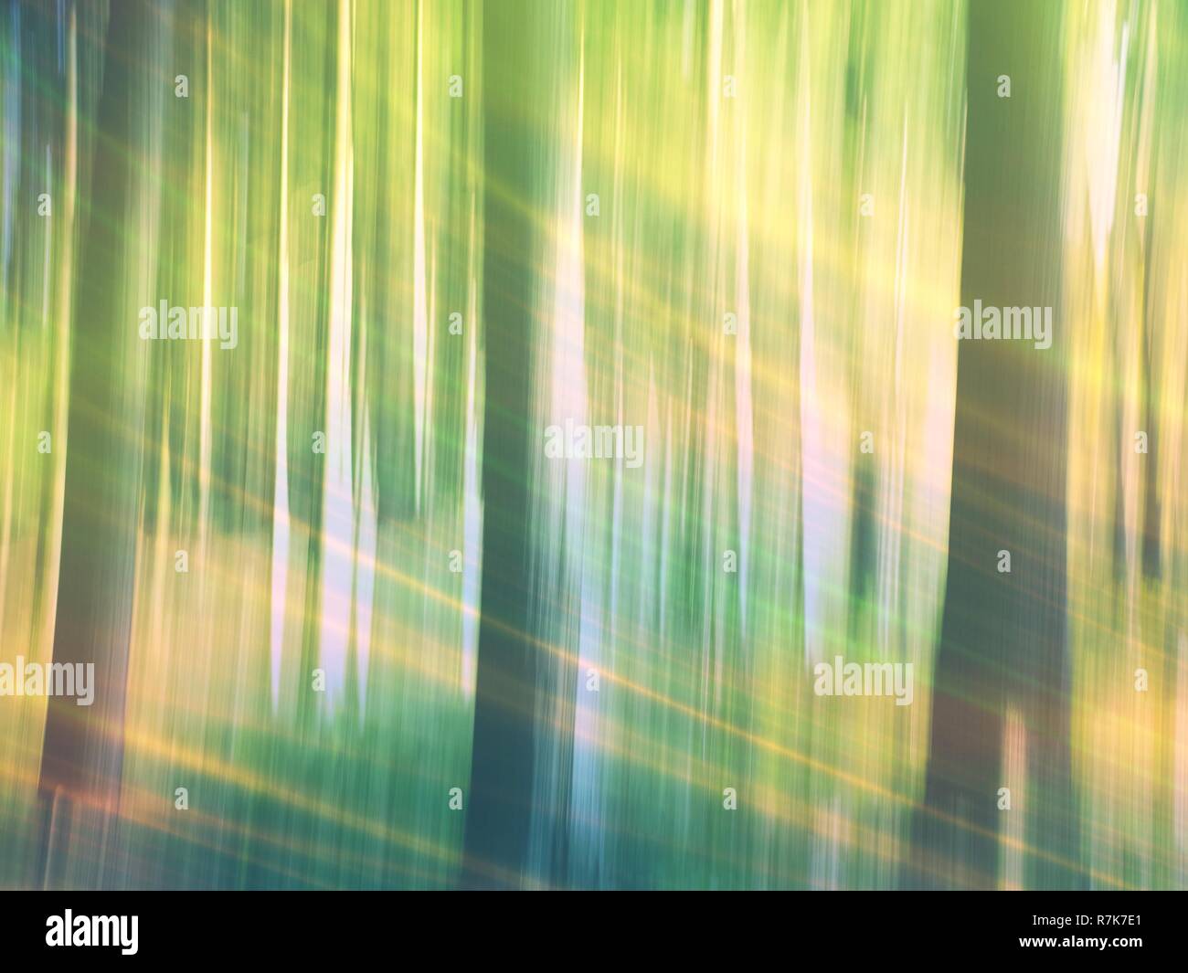 Fantasy forest colorful bright art background Stock Photo - Alamy