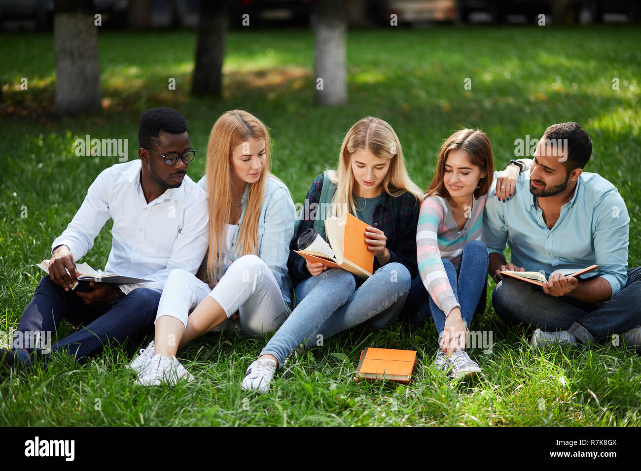 Mixed-race group of students sitting together on green lawn of ...