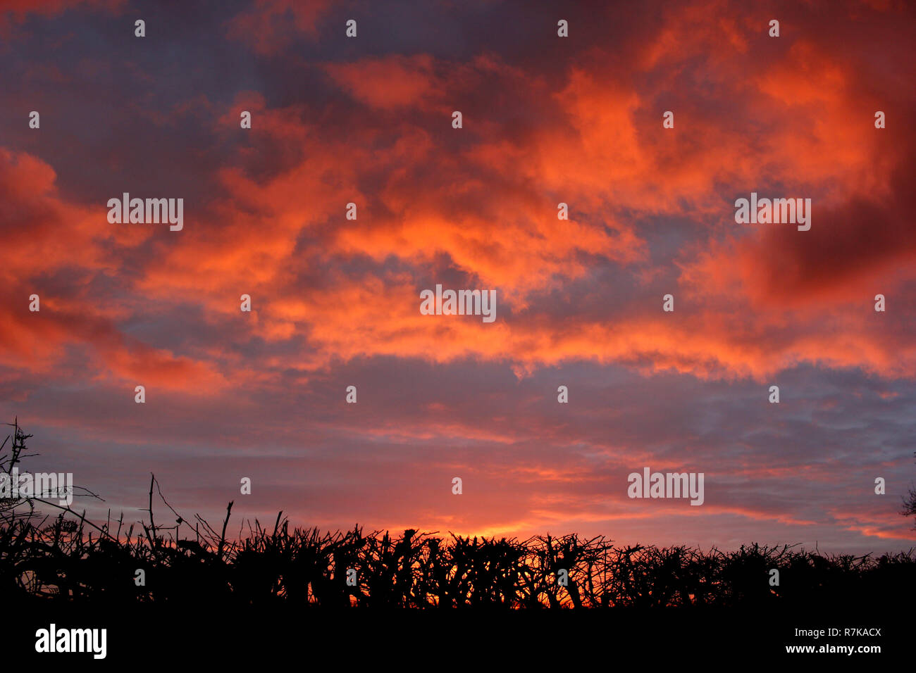 canterbury in kent skyline at night uk december 2018 Stock Photo - Alamy