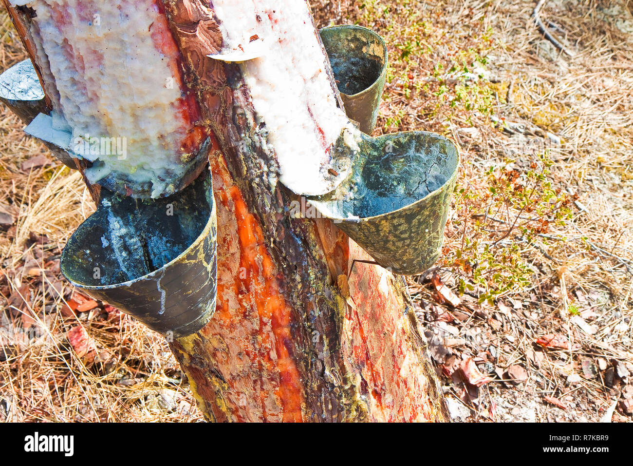 Solvent extraction hi-res stock photography and images - Alamy