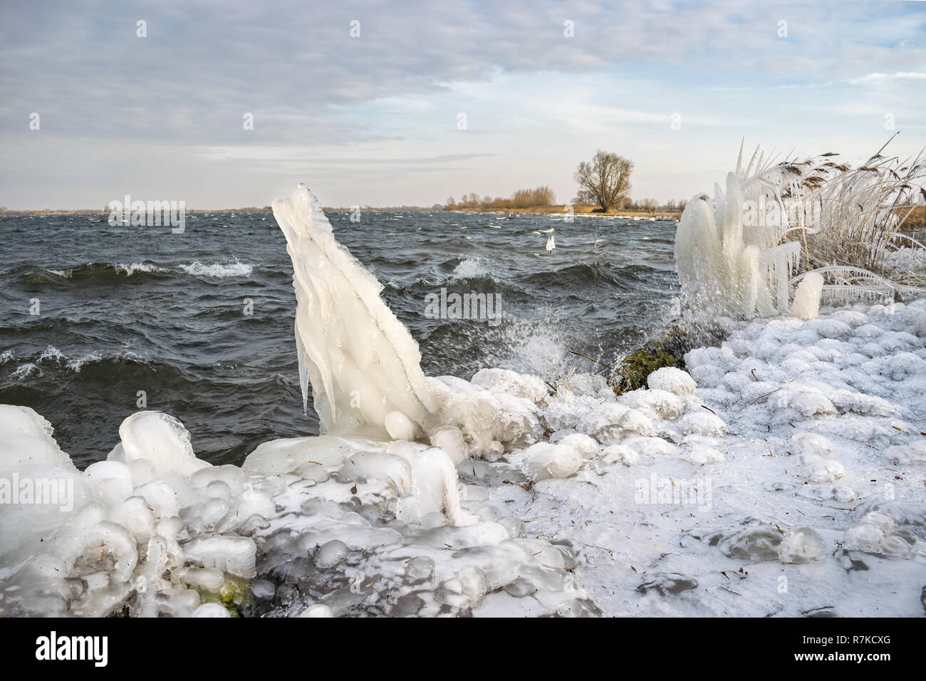 Strange ice forms during a cold spell in winter. On the shore of a lake ...