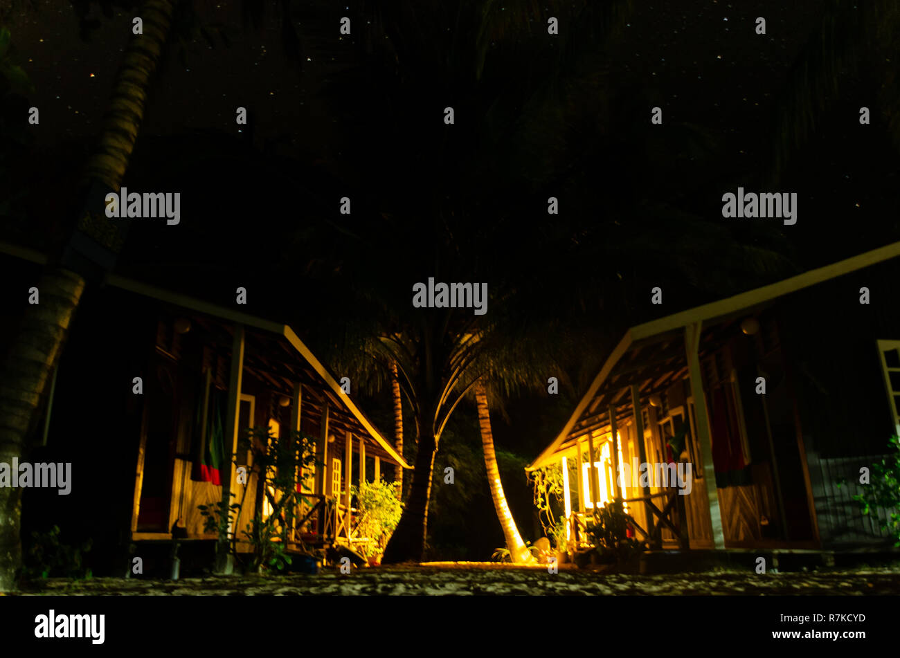 Tropical Paradise At Night