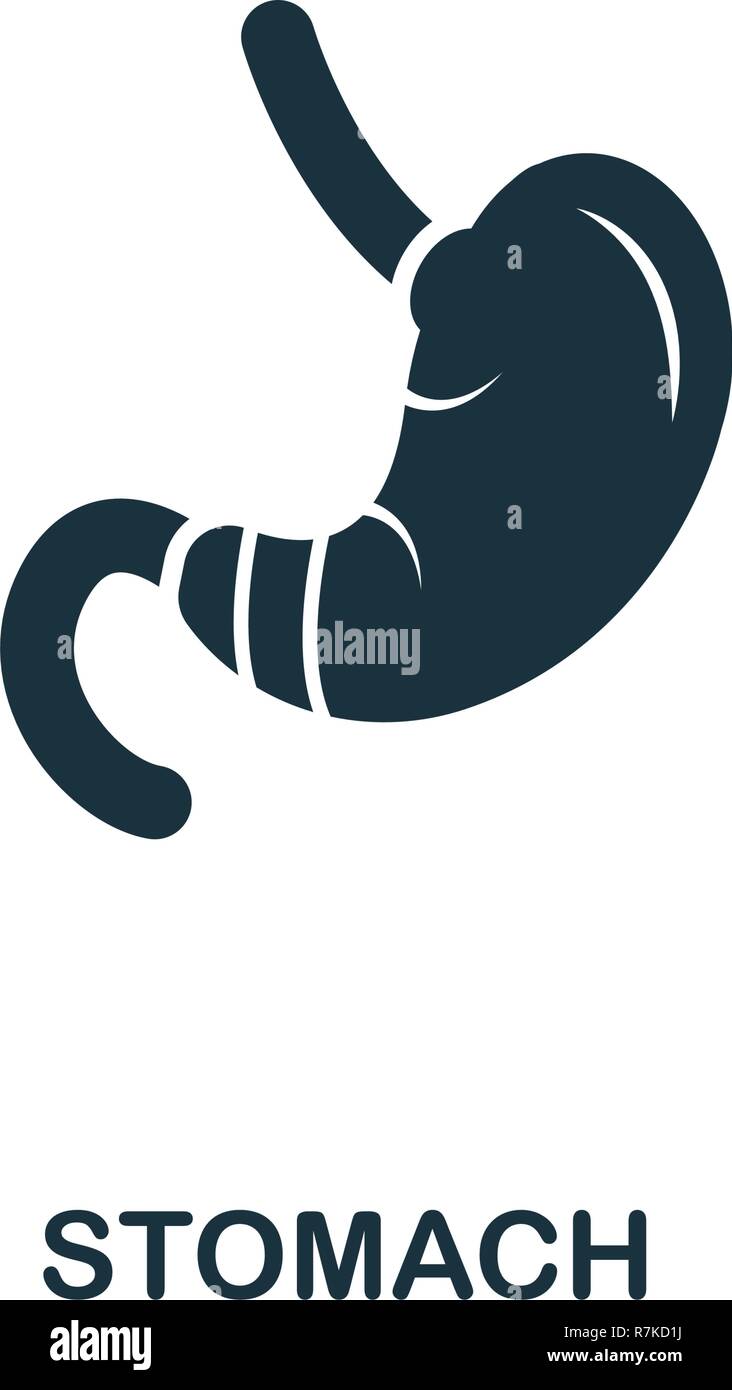 Stomach icon. Premium style design from healthcare icon collection ...