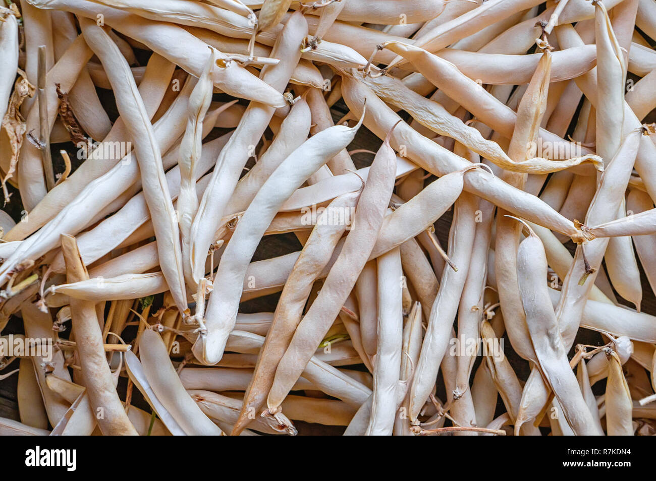 Seed dried pod husk hi-res stock photography and images - Alamy