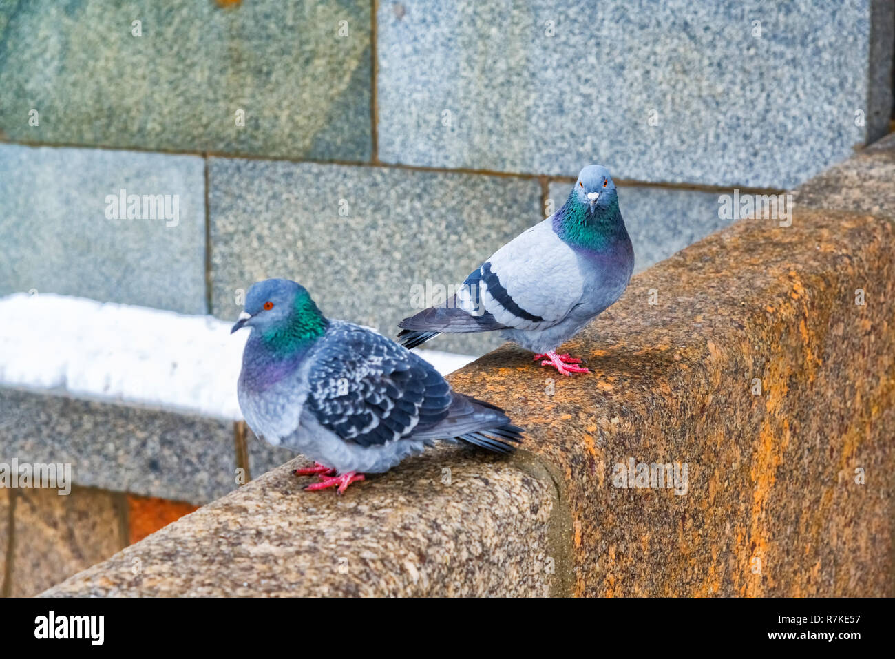 City Building Rooftop Parapet High Resolution Stock Photography and Images - Alamy