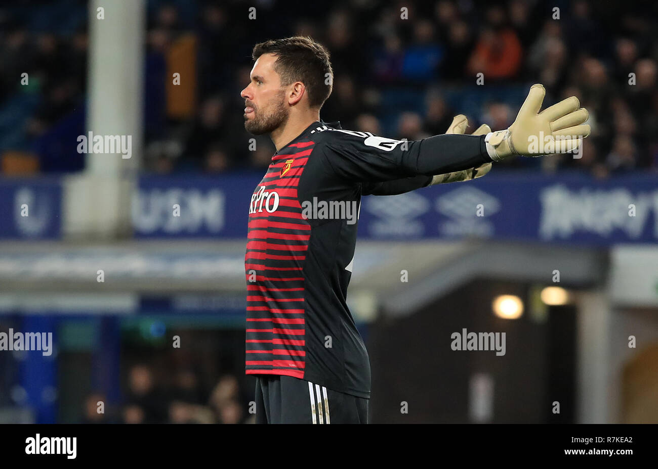 Watford goalkeeper Ben Foster during the Premier League match at ...