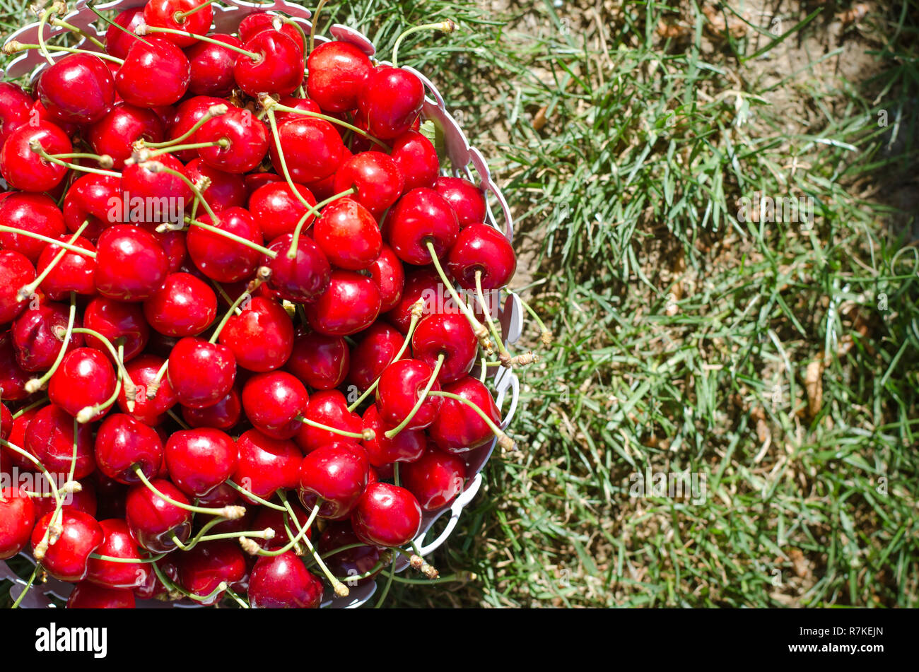 Top view red cherry hi-res stock photography and images - Alamy