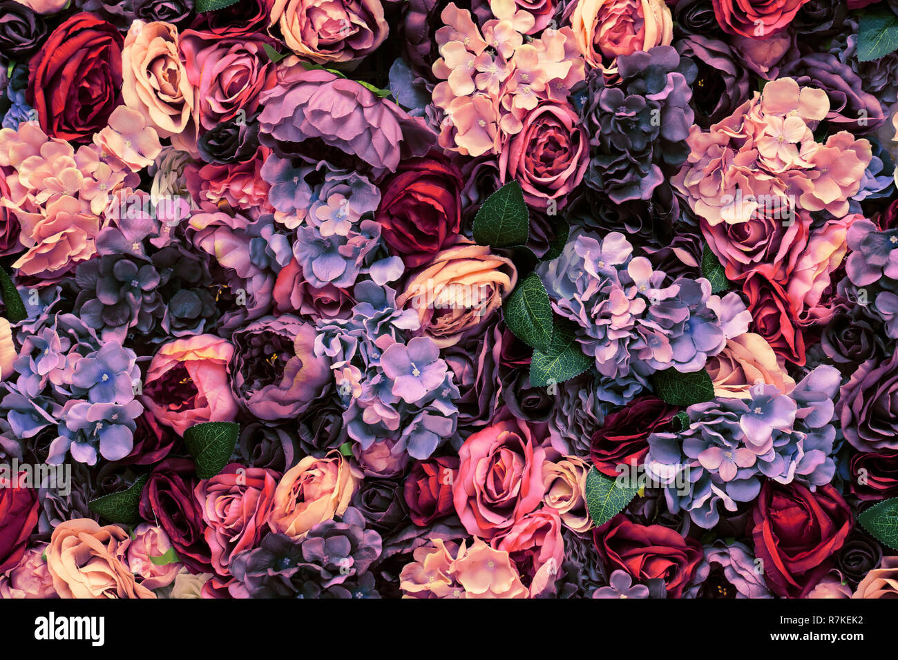 Real Flower Wallpaper