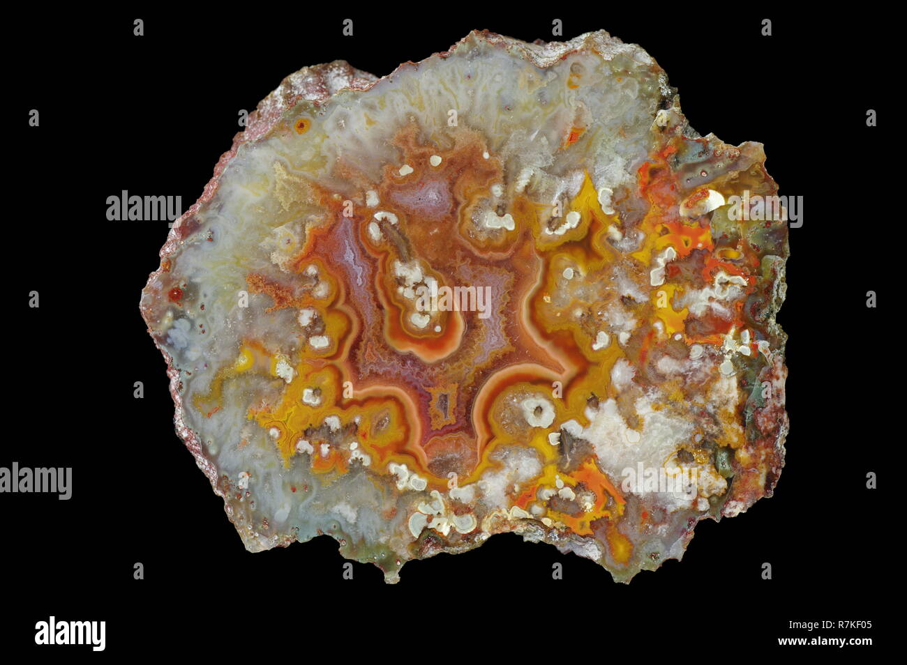 A cross-section of agate. Multicolored silica bands, spherolites and ...
