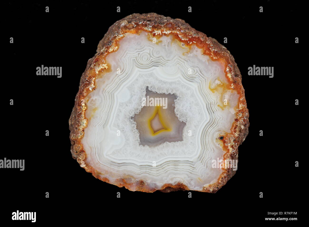A cross-section of agate. A snow-white chalcedony is interwoven with ...