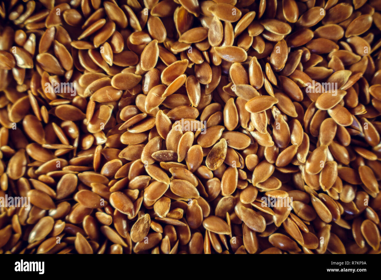 Flax seed, a lot on the whole background Stock Photo - Alamy