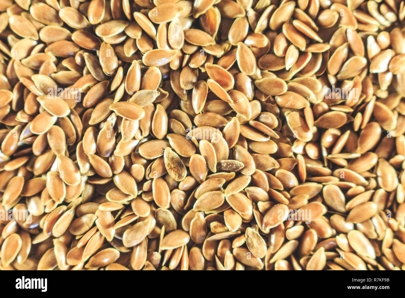 Flax seed, a lot on the whole background Stock Photo - Alamy