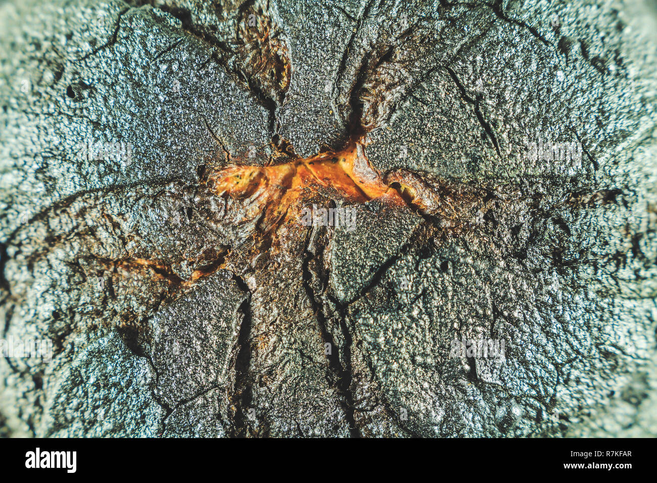 Bun burnt with a black crust. Coal close up Stock Photo - Alamy