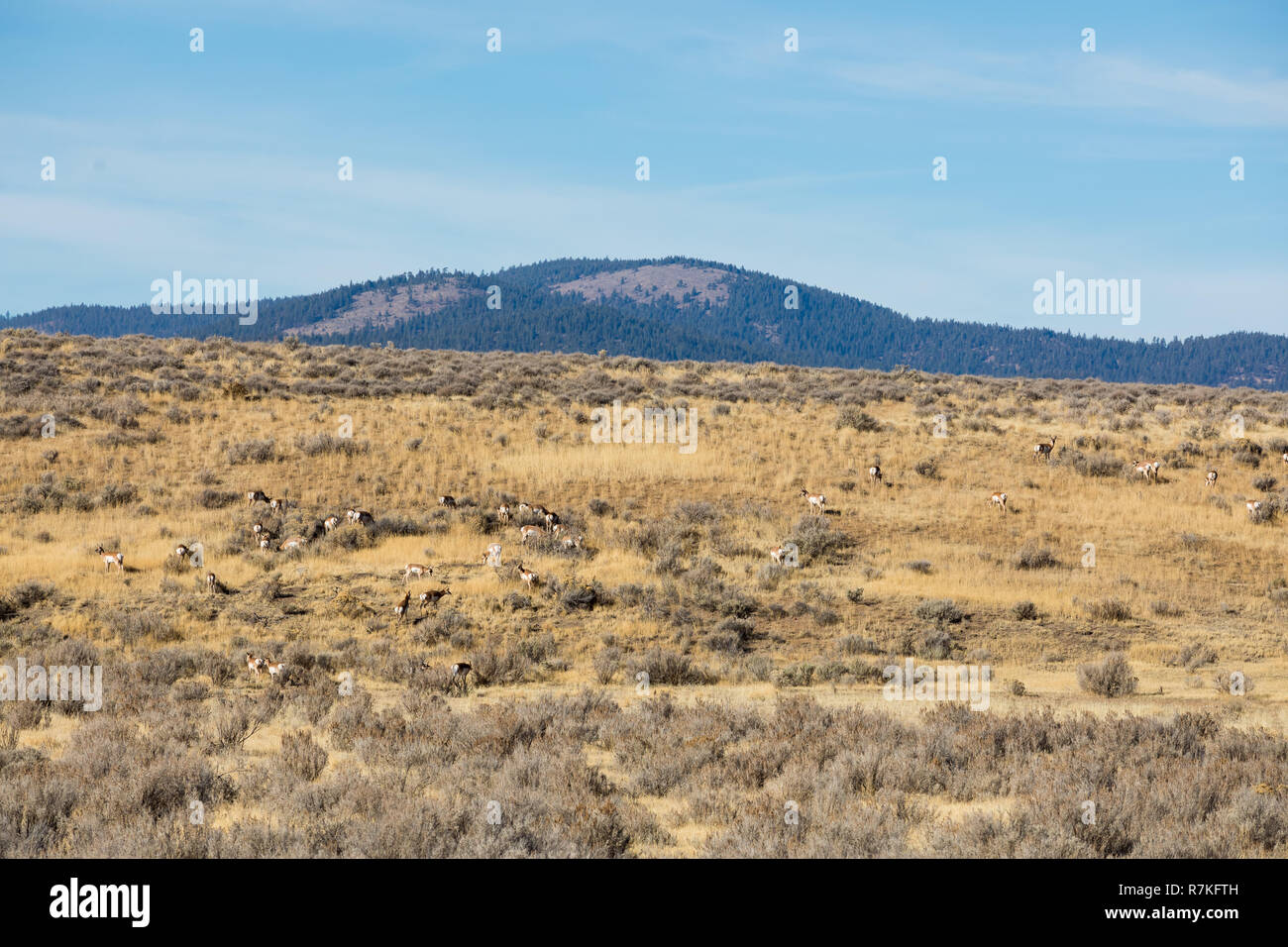 Modoc county hi-res stock photography and images - Alamy