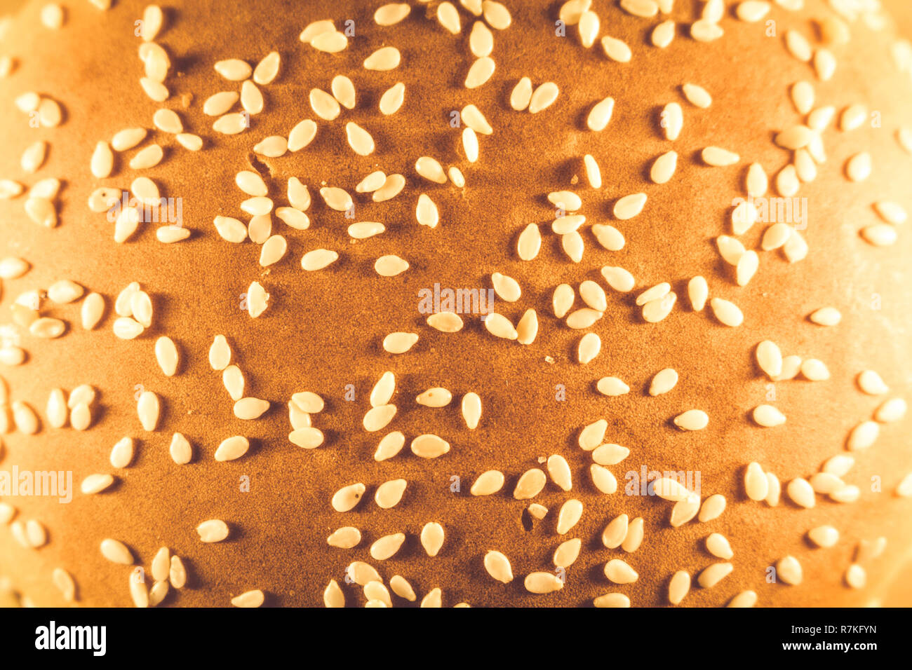 Burger top view hi-res stock photography and images - Alamy