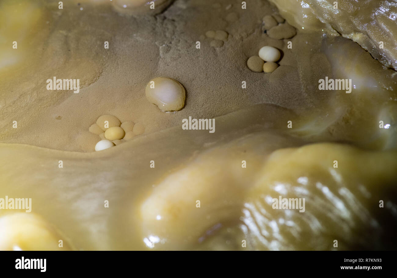 Cave pearls hi-res stock photography and images - Alamy