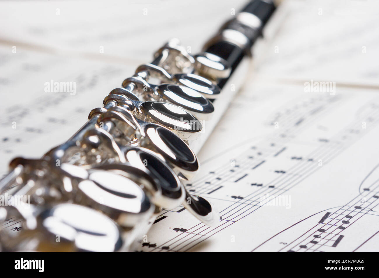 Transverse hi-res stock photography and images - Alamy