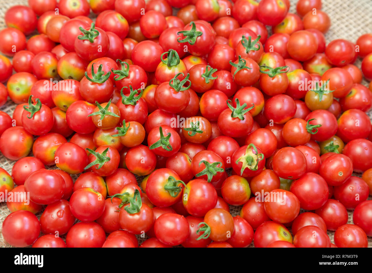 Little red tomatoes hi-res stock photography and images - Alamy