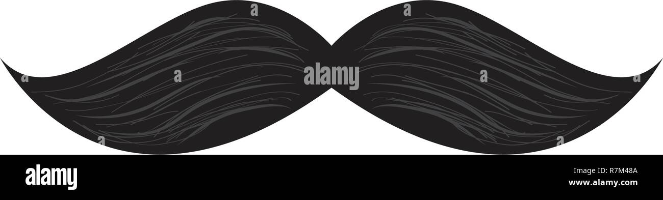 Isolated detailed mustache Stock Vector Image & Art - Alamy