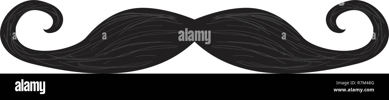 Isolated detailed mustache Stock Vector Image & Art - Alamy