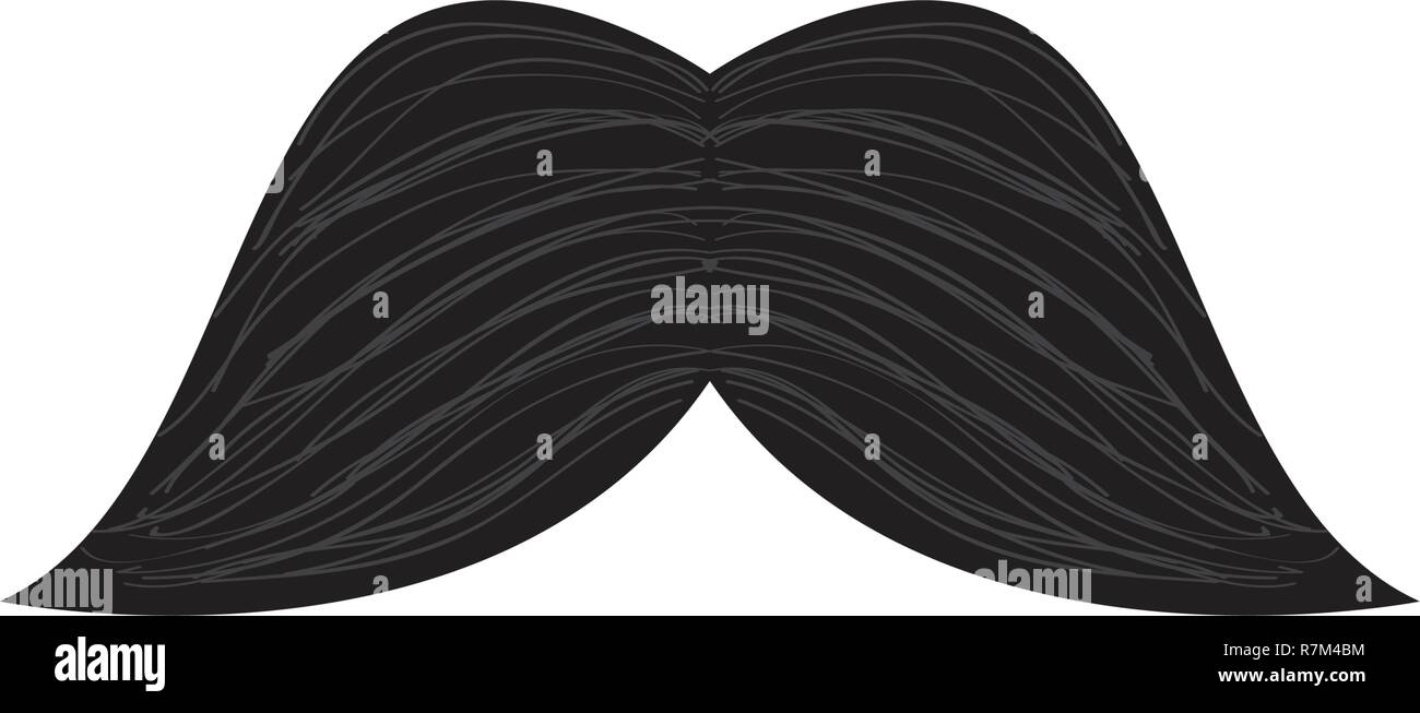 Isolated detailed mustache Stock Vector Image & Art - Alamy