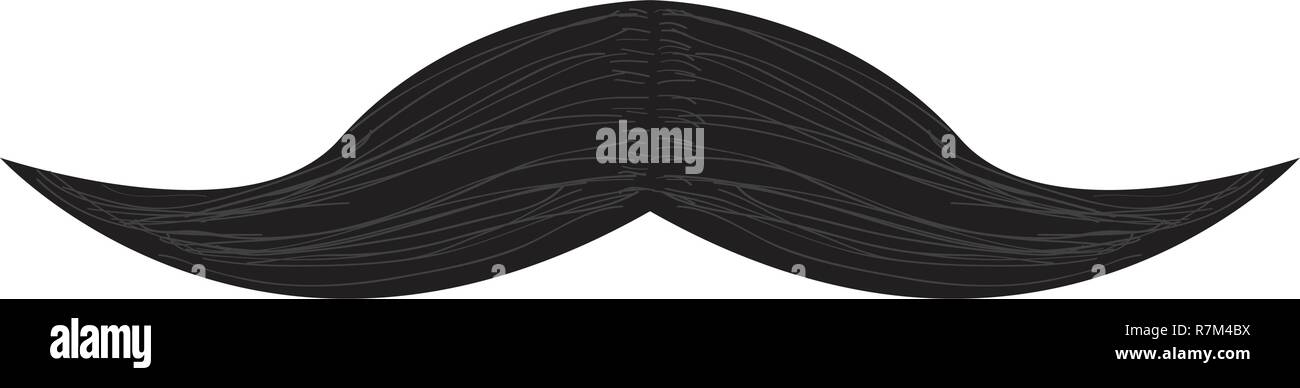 Isolated detailed mustache Stock Vector Image & Art - Alamy