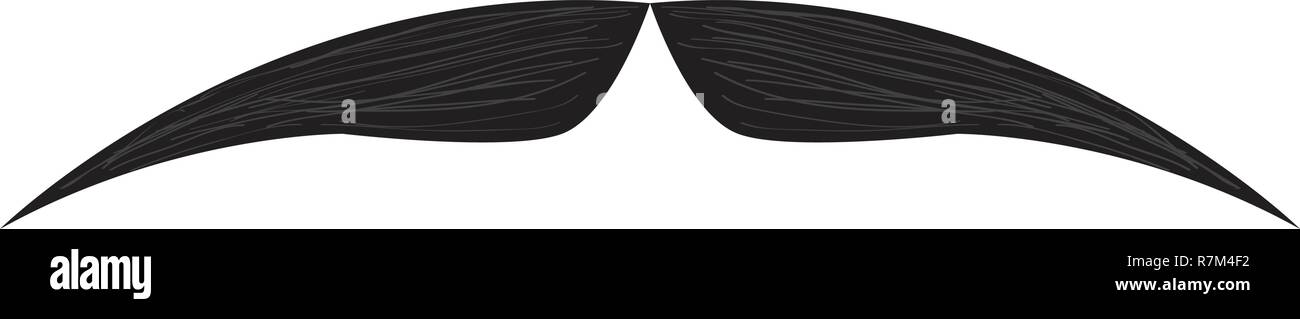 Isolated detailed mustache Stock Vector Image & Art - Alamy