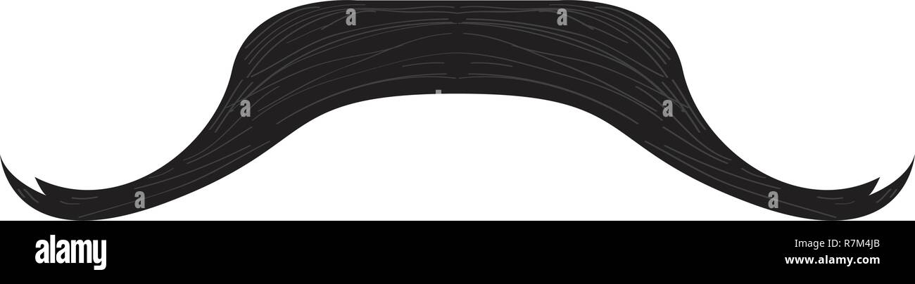 Isolated detailed mustache Stock Vector Image & Art - Alamy